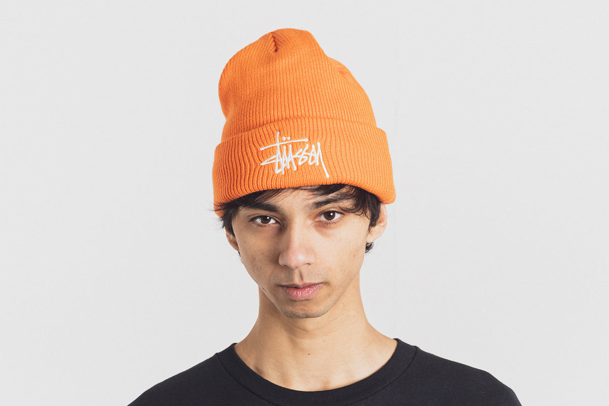 Big Basic Thinsulate Beanie – Alleyoop